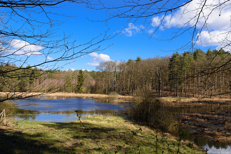 Hidden Pond. - Photography by Thomas Hendel